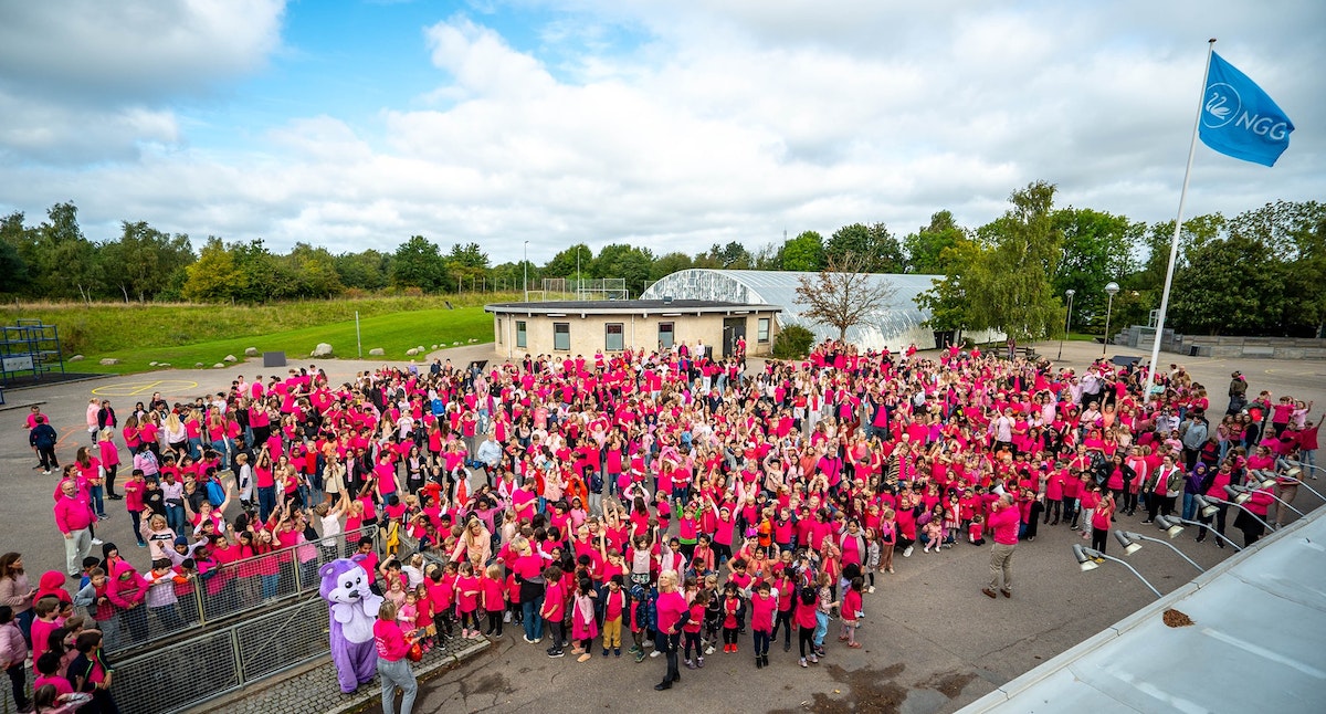 Stort samarbejde mellem Røde Kors Lyngby-Taarbæk og Nordsjællands ...